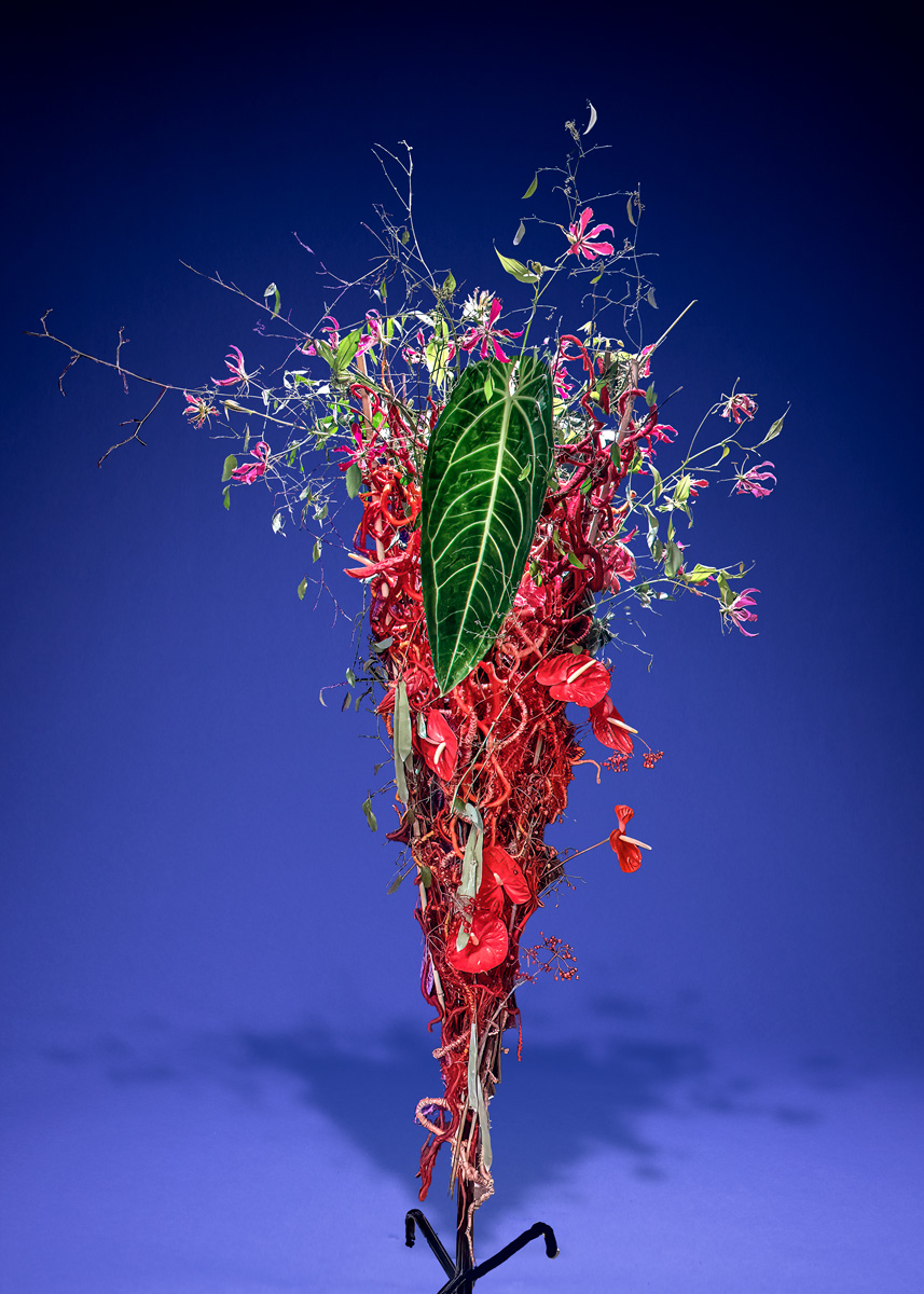 Hitomi-Gilliam-Design-4 – OFAD