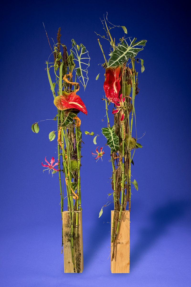 Hitomi-Gilliam-Design-6 – OFAD