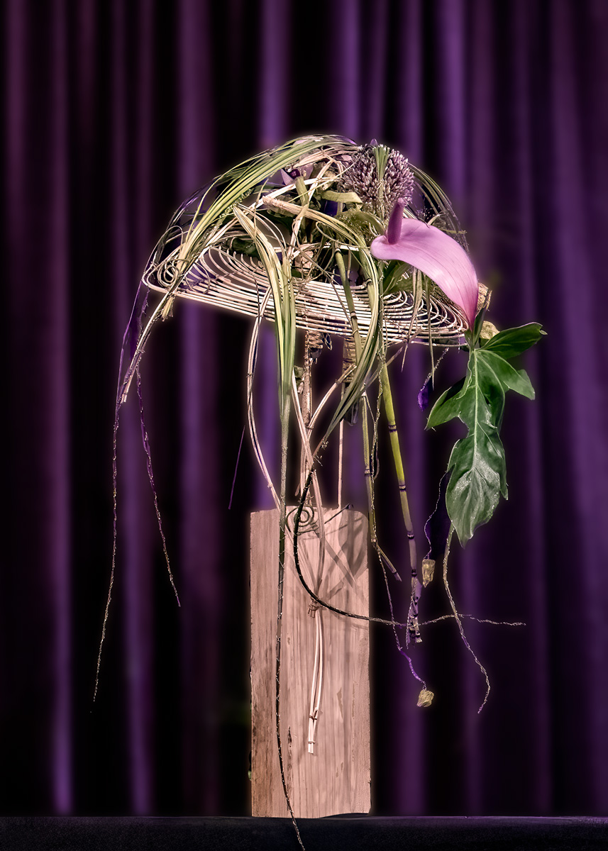 Hitomi-Gilliam-Design-9 – OFAD